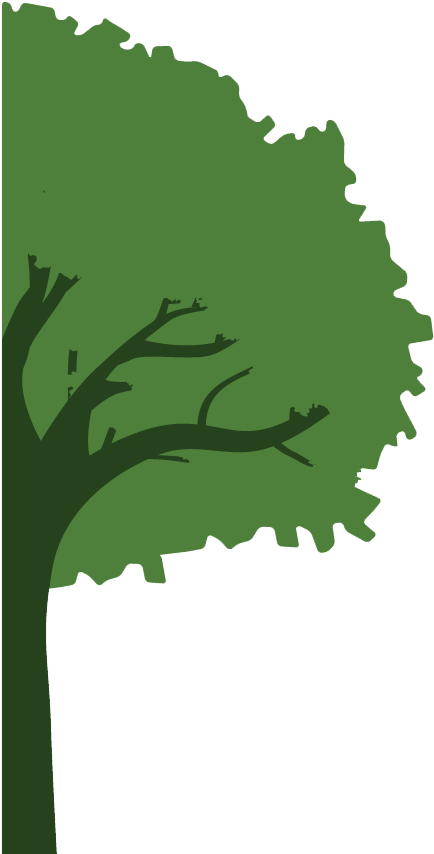 Download Tree - Full Size PNG Image - PNGkit