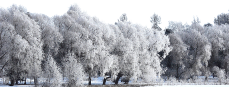 Download Snow - Full Size PNG Image - PNGkit