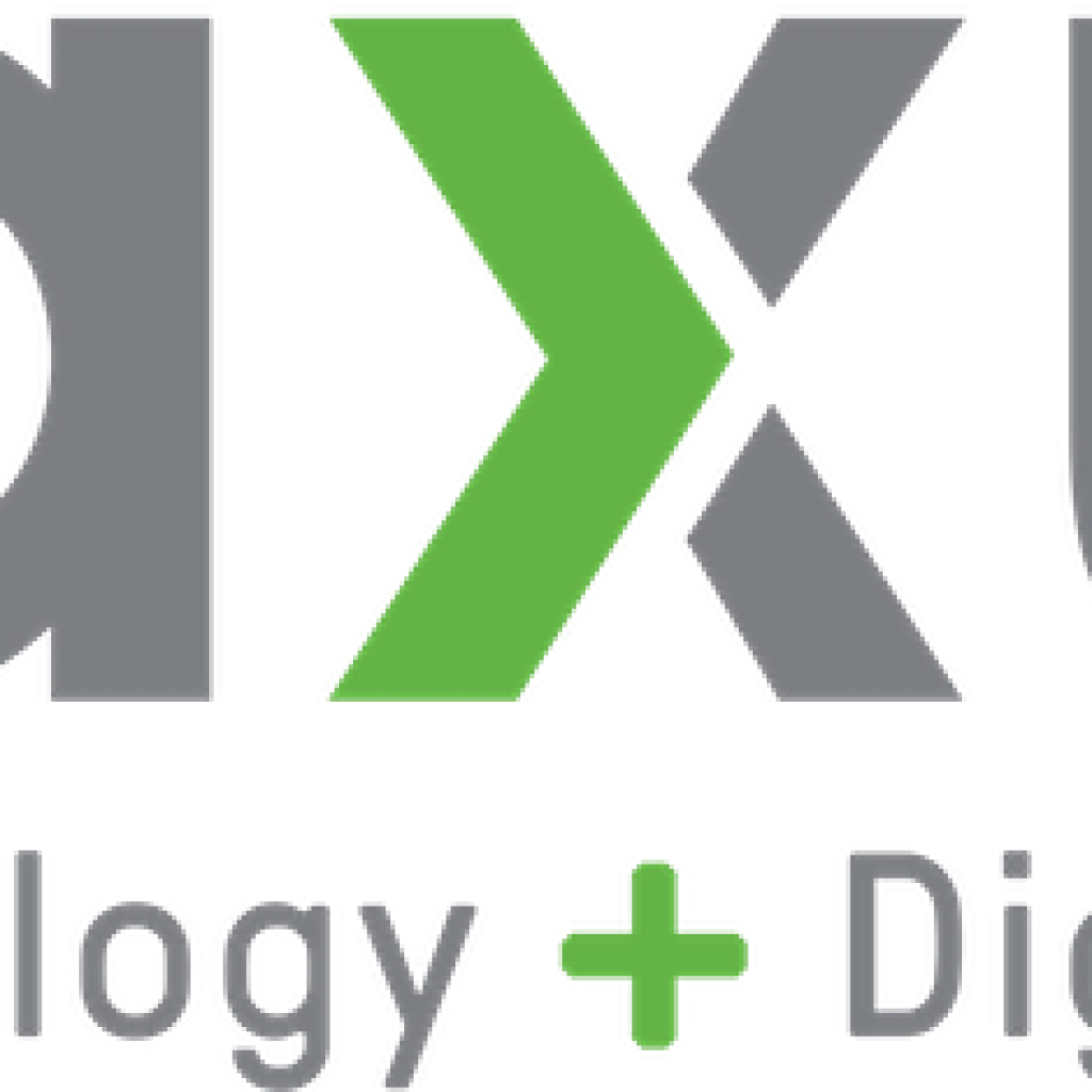 Download Paxus Logo Techdig Colour - Cross - Full Size PNG Image - PNGkit