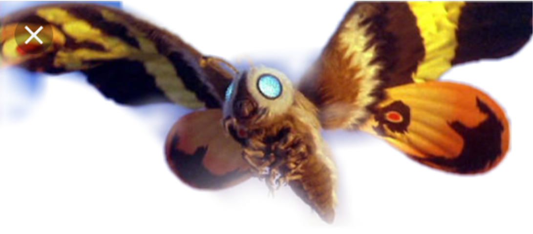 Download Godzilla Mothra - Full Size PNG Image - PNGkit
