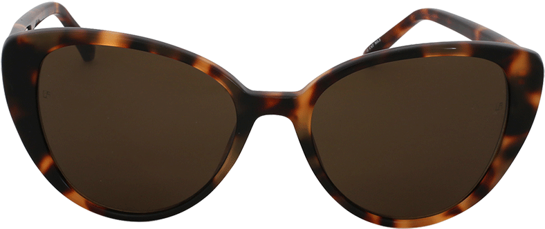 Download Loading Zoom - Ray Ban Brown Cat Eye Sunglasses - Full Size ...