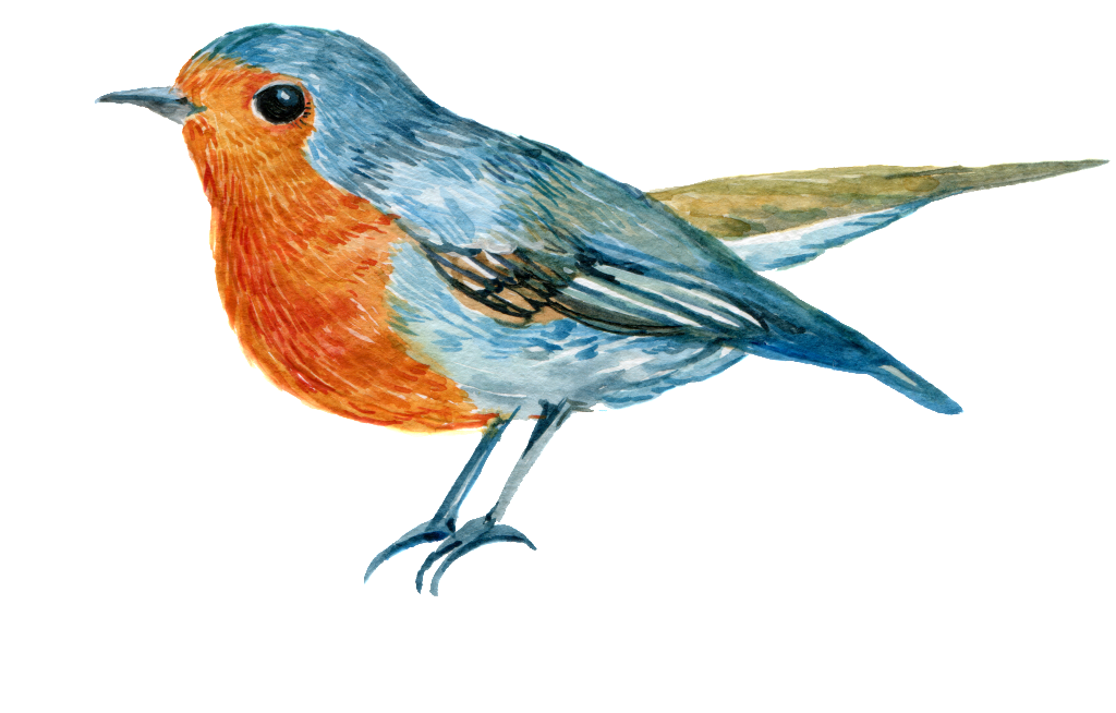 Download This Product Design Is Hand Painted A Magpie Png Transparent ...