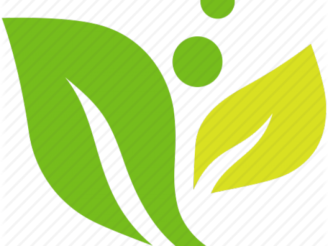 Download Abstract Leaf Png Hd - Full Size PNG Image - PNGkit