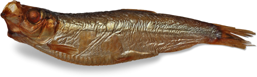 Download Smoked Fish - Lunge - Full Size PNG Image - PNGkit