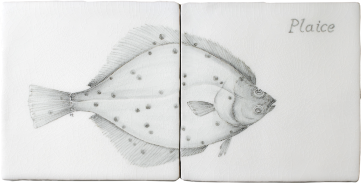 Download Fish 2 Panel - Halibut - Full Size PNG Image - PNGkit