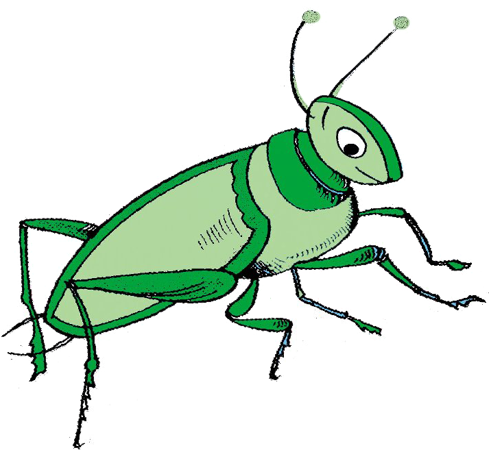 Download Grasshopper Language School - Membrane-winged Insect - Full ...