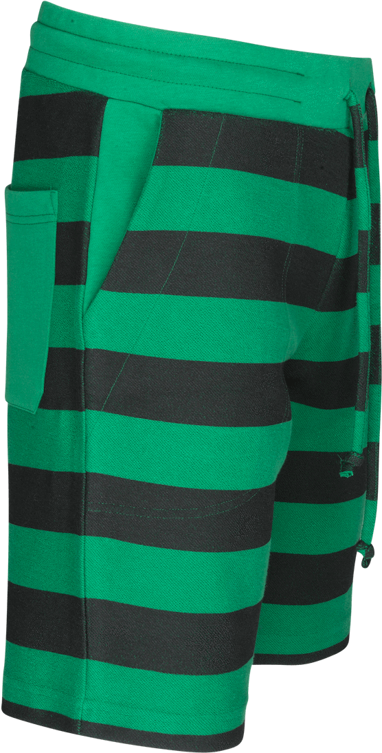 Download Grasshopper - Board Short - Full Size PNG Image - PNGkit