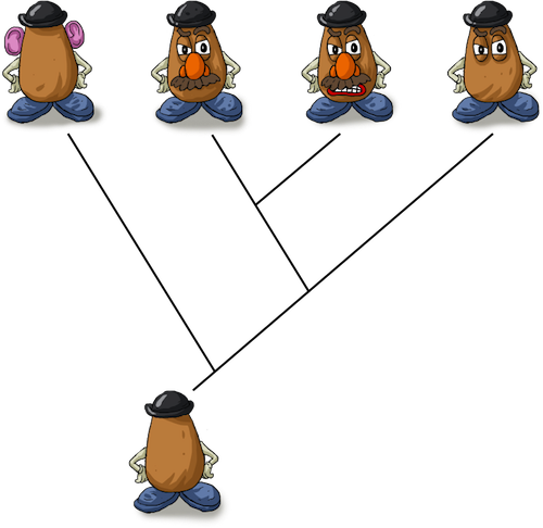 Download The Evolutionary Change That Occurs Within A Branch - Mr ...