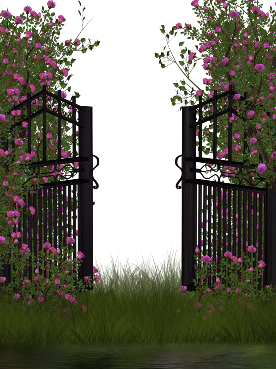 Download Png Garden Clipart Garden Roses - Rose Garden Transparent ...