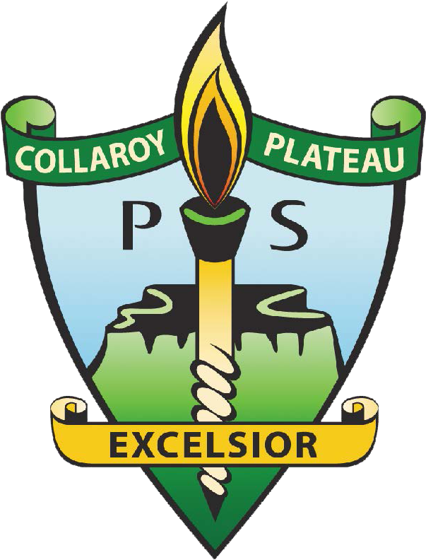Download Collaroy Plateau Public School - Full Size PNG Image - PNGkit