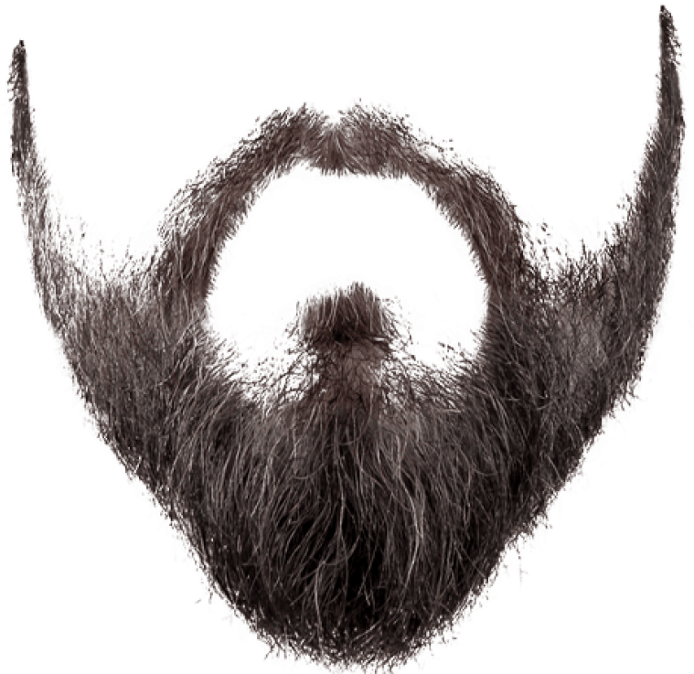 Download Free Png Download Beard Styles Png Images Background ...