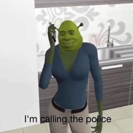 Download Shrek Im Calling The Police - Full Size PNG Image - PNGkit