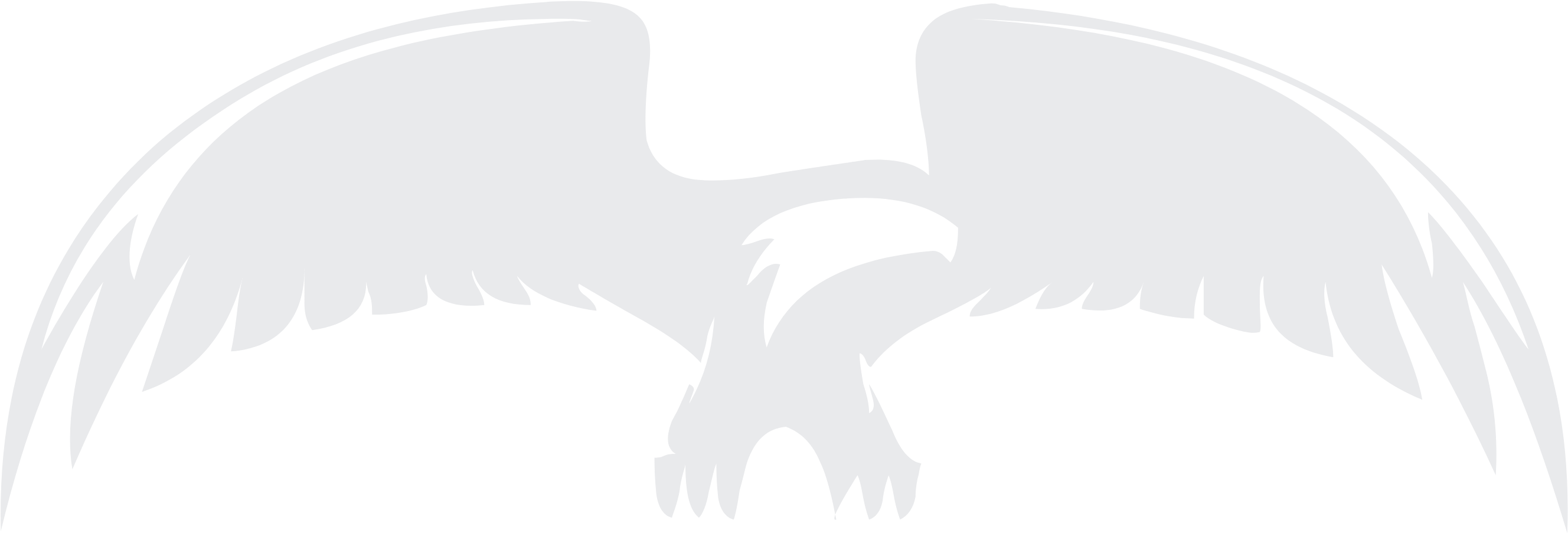 Download Mark - - Hawk - Full Size PNG Image - PNGkit