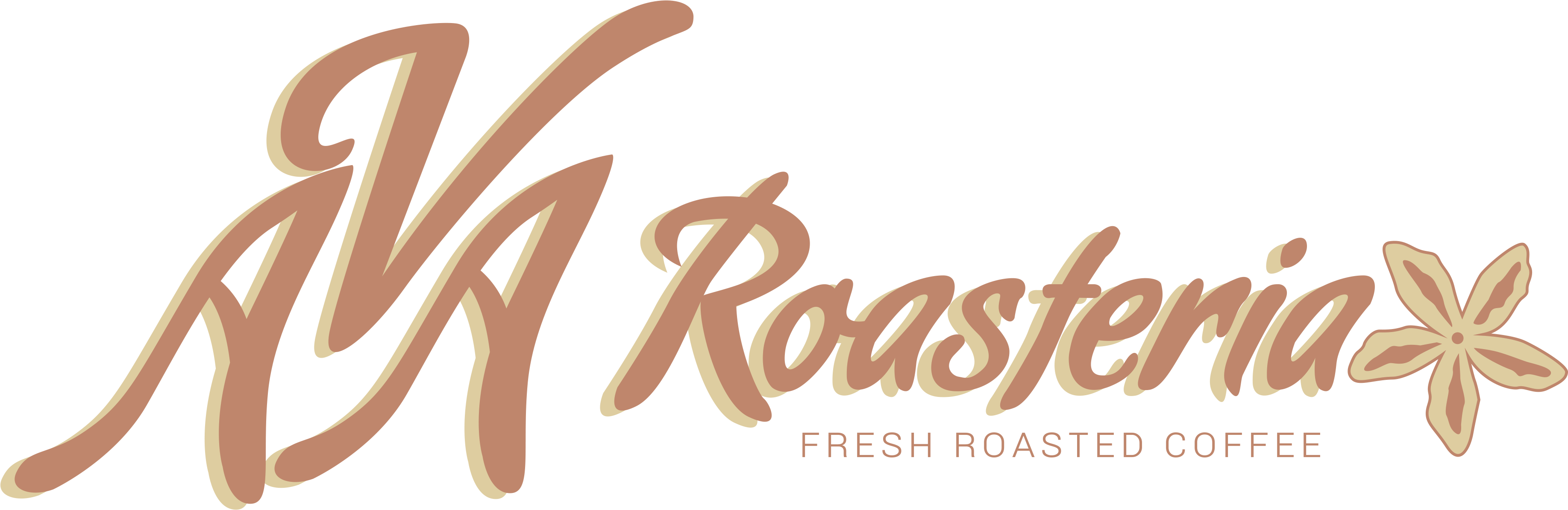 Download Header - Ava Roasteria Png - Full Size PNG Image - PNGkit
