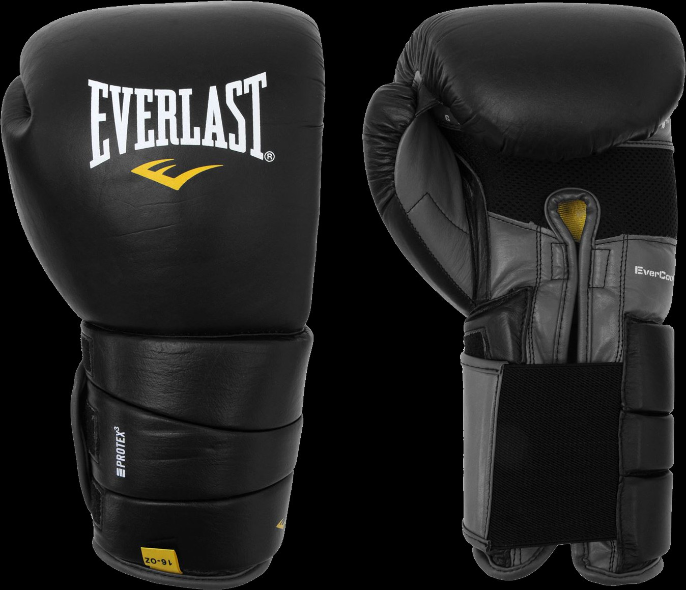 Download Transparent Everlast - PNGkit