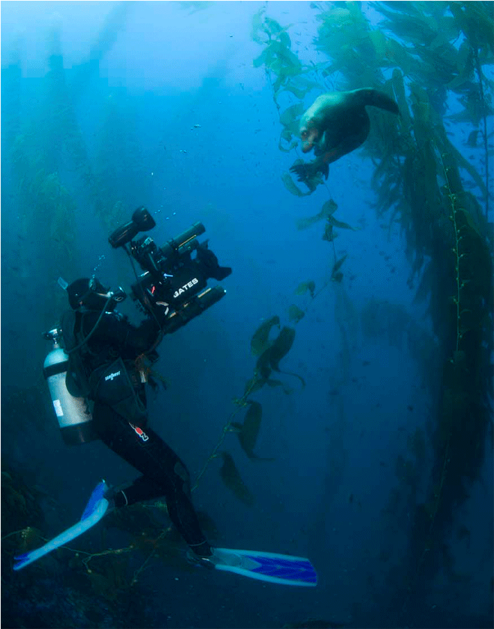 Download The Camera Coach® Your Guide To Underwater Videocamera - Scuba ...