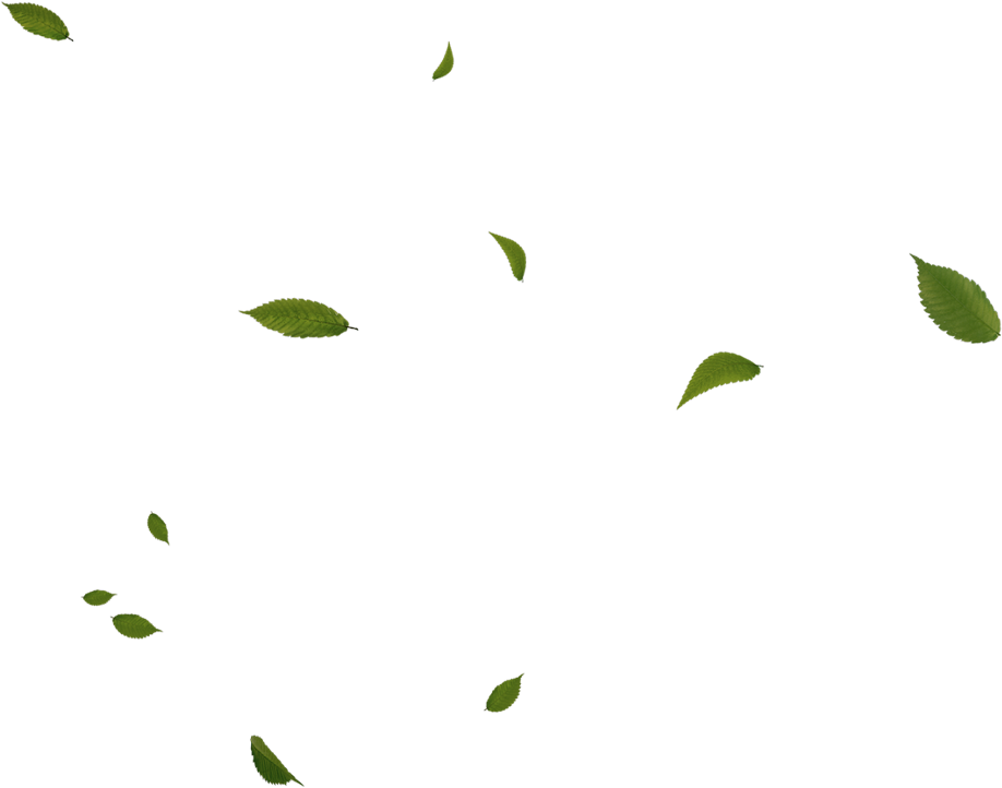 Download Transparent Leafs Sticker - Floating Green Leaves Png - PNGkit
