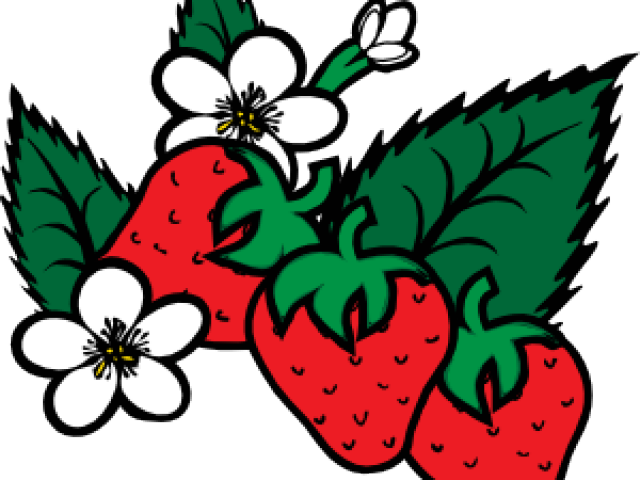 Download Fruit Clipart Png Black - Full Size PNG Image - PNGkit