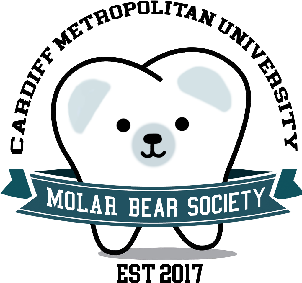 Download Molar Bears Logo - Full Size PNG Image - PNGkit