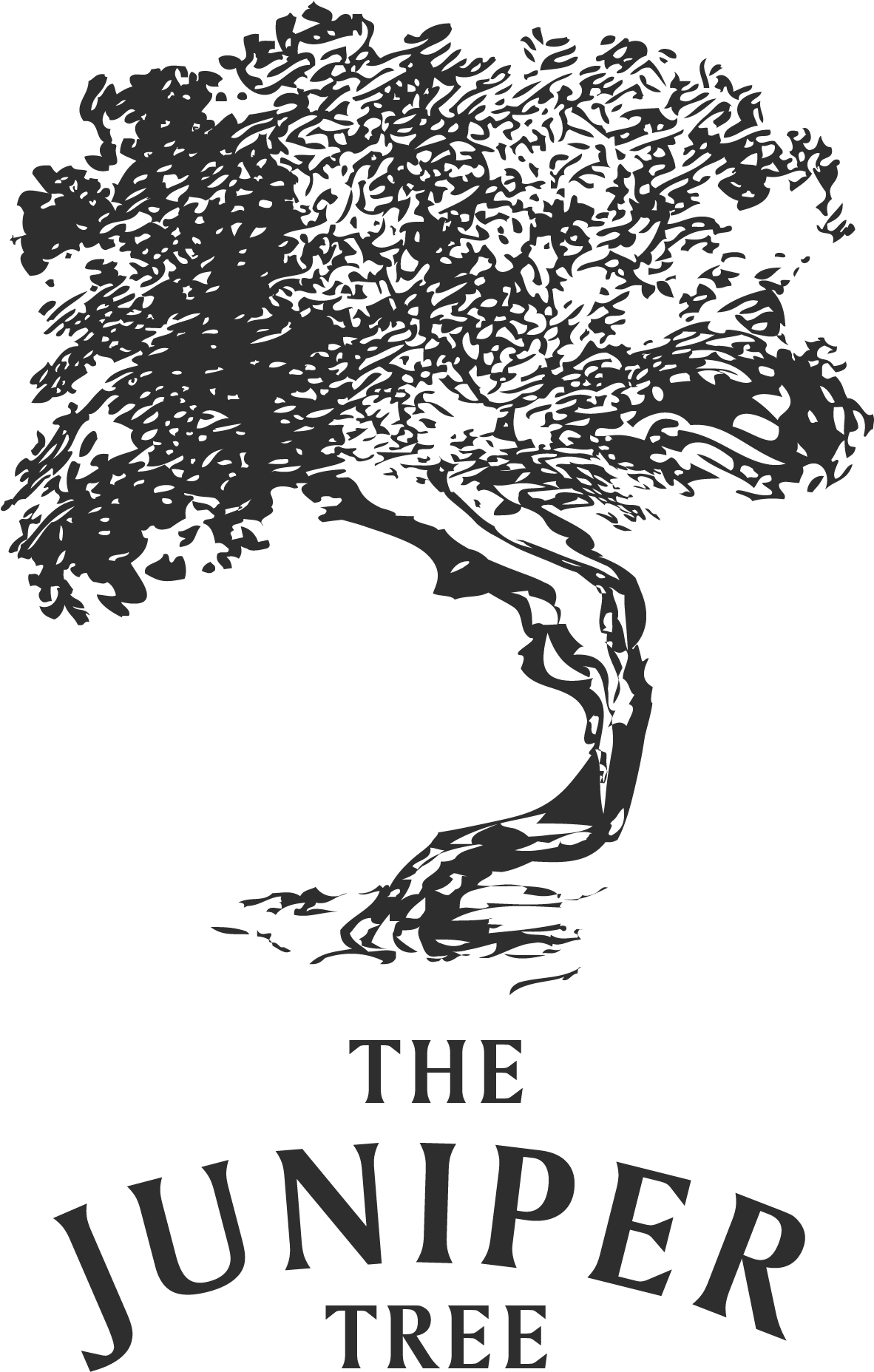 Download Juniper Tree Logo - Full Size PNG Image - PNGkit