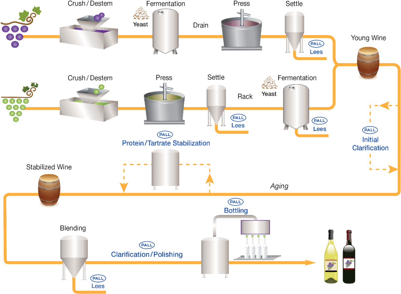 Download Wine Filtration Process Flow Diagram - Diagram - Full Size PNG ...