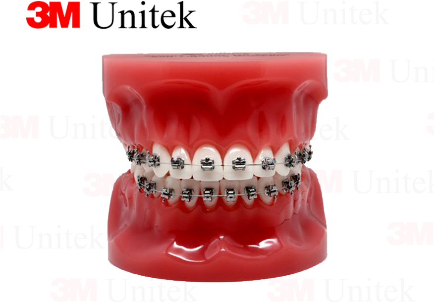 Download 3m Espe - Full Size PNG Image - PNGkit