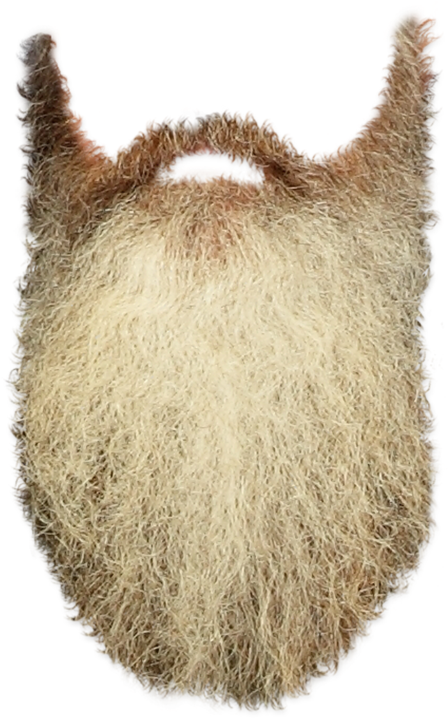 Download Beard In - Beard Transparent Background - Full Size PNG Image ...