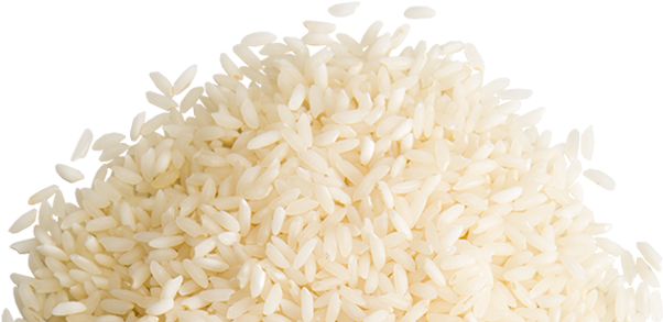 Download Rice Grains Png - Full Size PNG Image - PNGkit