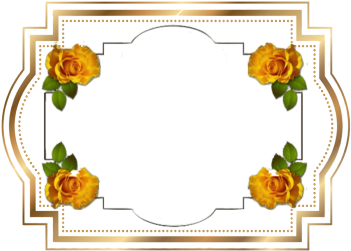 Download Gold Frame With Roses, Lace, Gold Lace, Pattern Png - Golden ...