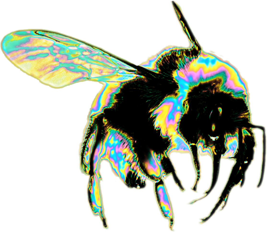 Download Transparent Tumblr Bee - Full Size PNG Image - PNGkit