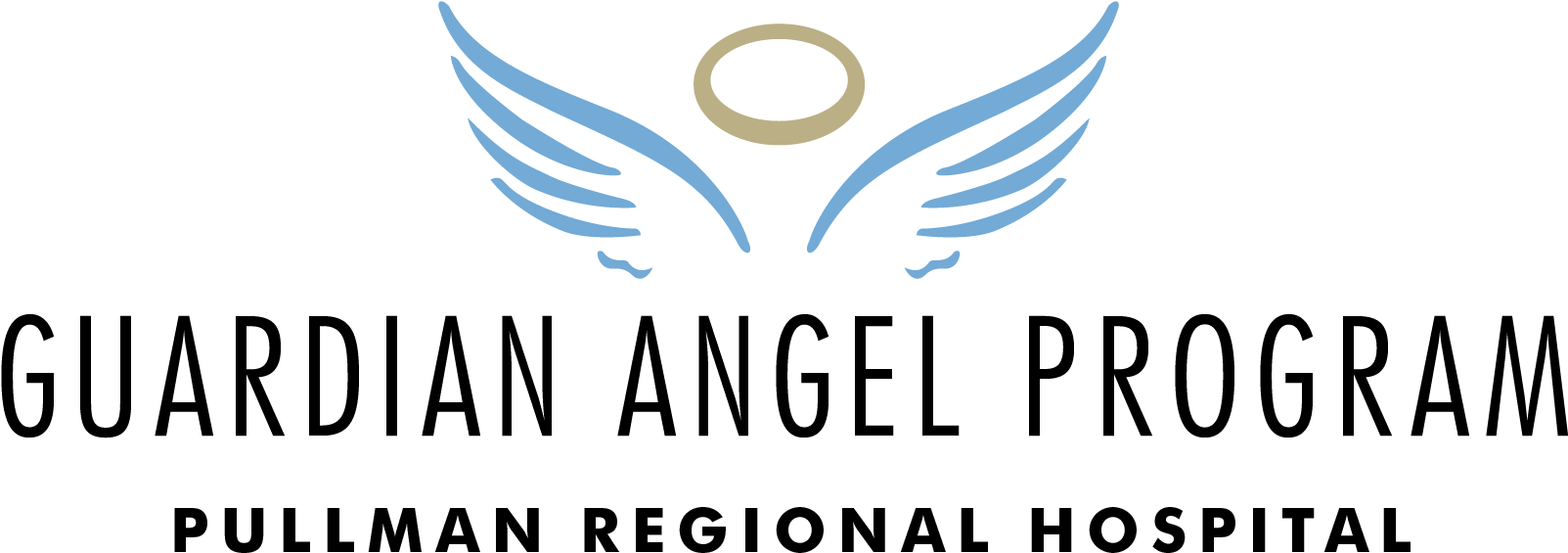 Download Guardian Angel Donation Form - Circle - Full Size PNG Image ...
