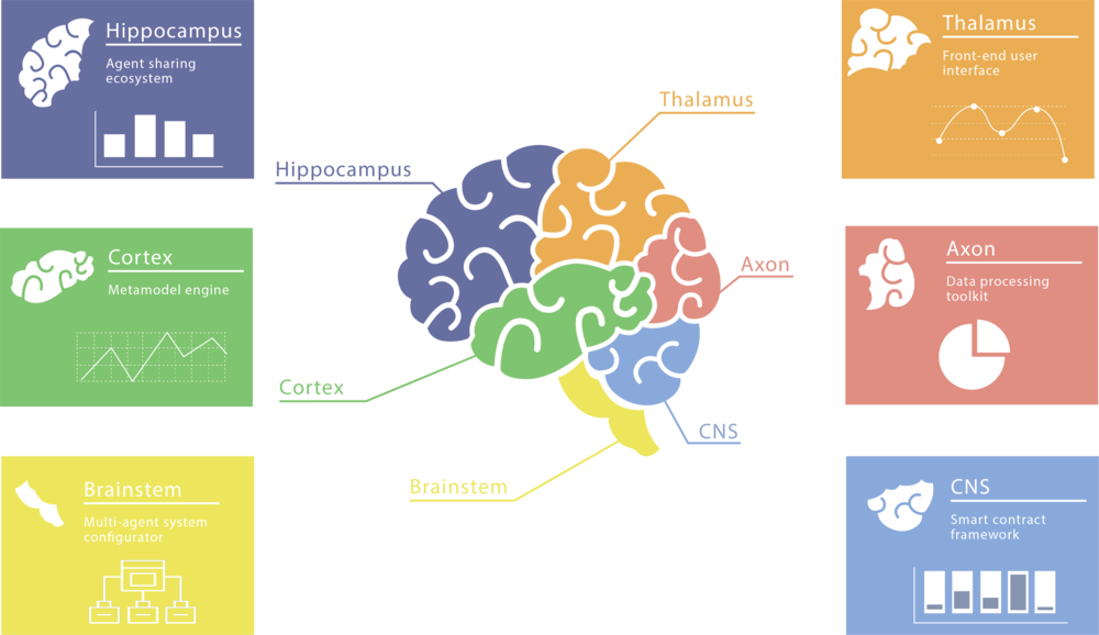 Download Modular Architecture Inspired By The Brain - Infographics ...