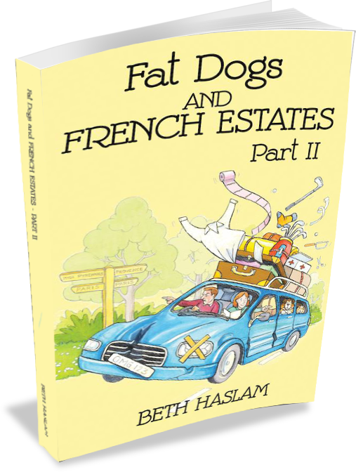 Download Beth Book Ii 3d Book 2 Cover Ver - Car - Full Size PNG Image ...