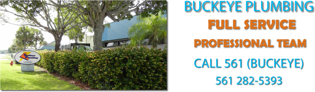 Download Slide1 - Tree - Full Size PNG Image - PNGkit