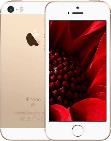 Download Iphone® Se 16gb - Rose Gold Iphone Se Back - Full Size PNG ...