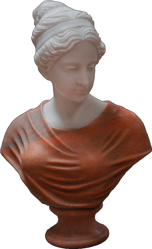 Download Busts - Bust - Full Size PNG Image - PNGkit