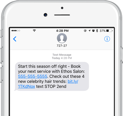 Download Receiving A Text Message On An Iphone 6s With A Link - Loyalty ...