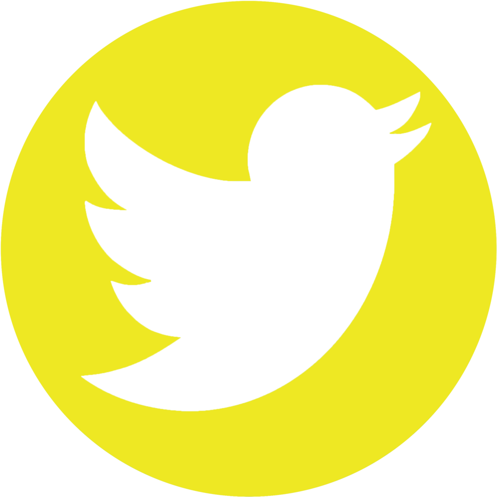 Download Transparent Yellow Twitter - Twitter Logo Gray Png - PNGkit