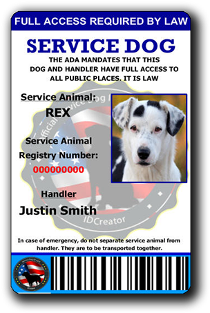 Download Service Dog - Full Size PNG Image - PNGkit