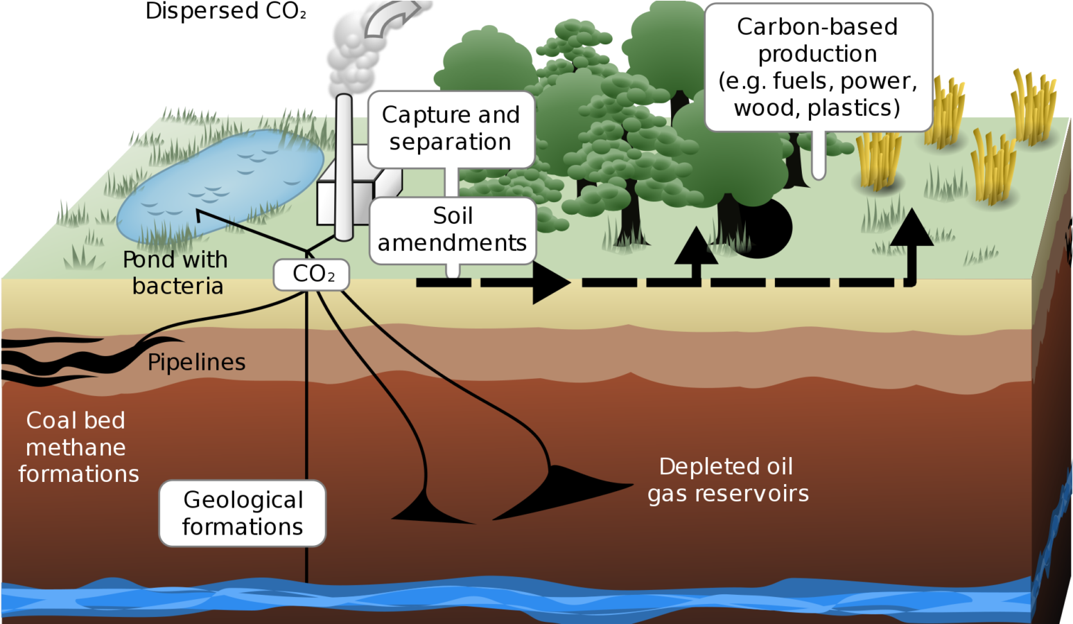 Download Ways Carbon Dioxide Can Be Sequestered On Land And ...