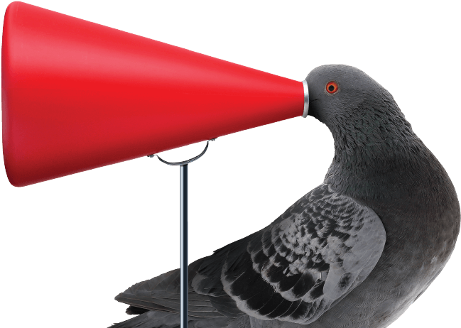 Download Join Now And Instantly Go Into The Draw To Win A $5000 - Stock ...