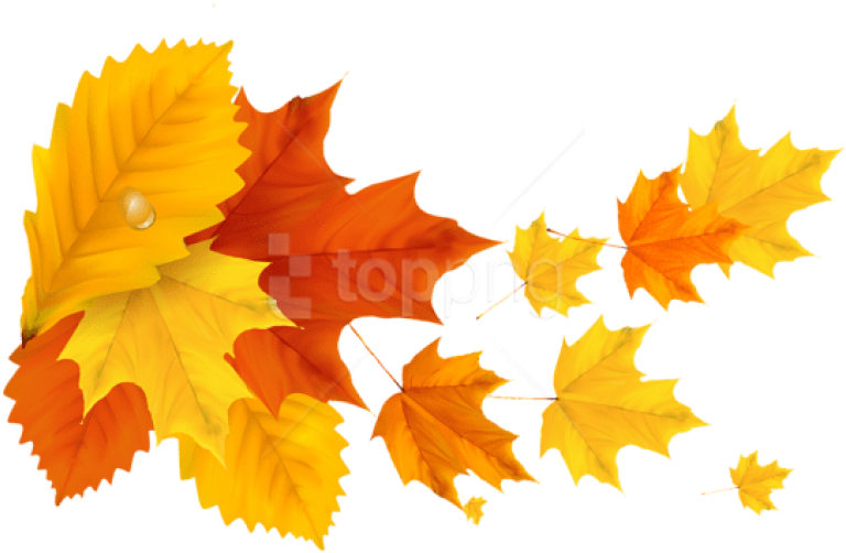 Download Free Png Download Yellow Orange Fall Leafspicture Clipart ...