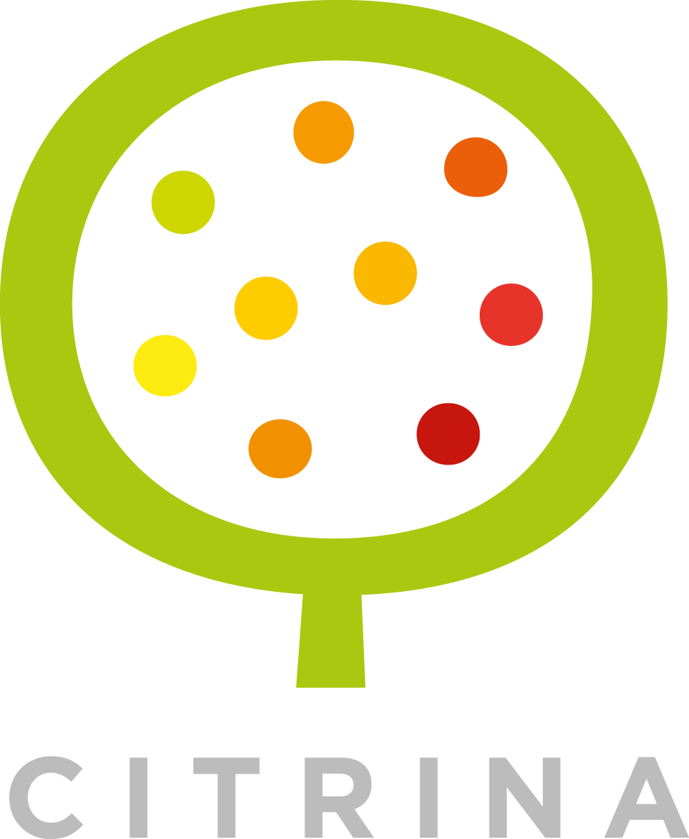 Download Navigation - Circle - Full Size PNG Image - PNGkit