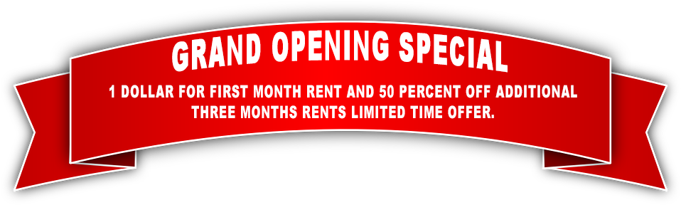 Download Grand Opening Special - Oval - Full Size PNG Image - PNGkit