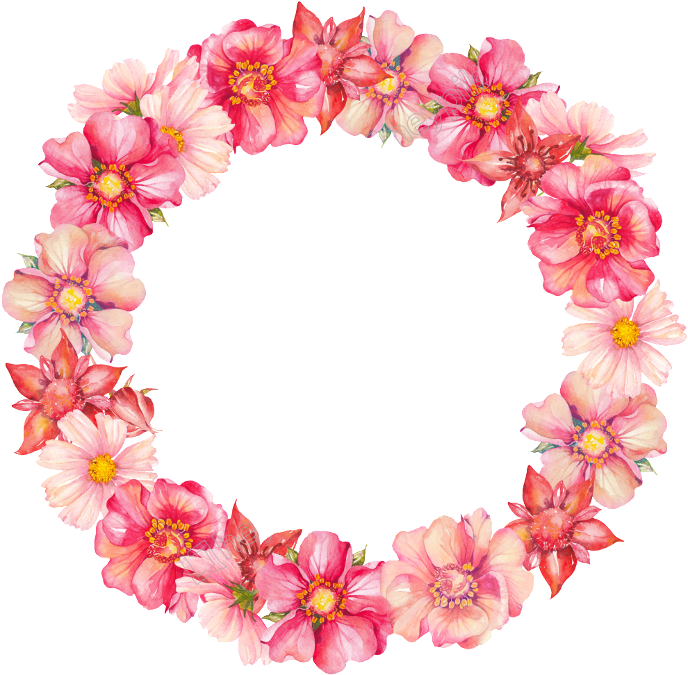 Download Flower Cartoon Png - Circulo De Rosas Vector - Full Size PNG ...