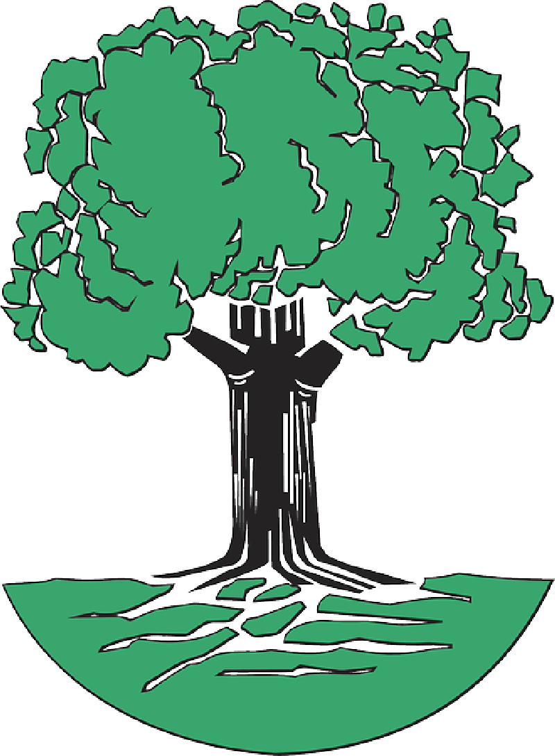 Download Tree, Roots, Cartoon, Free, Trees, Plant, - Oak Tree Clip Art ...