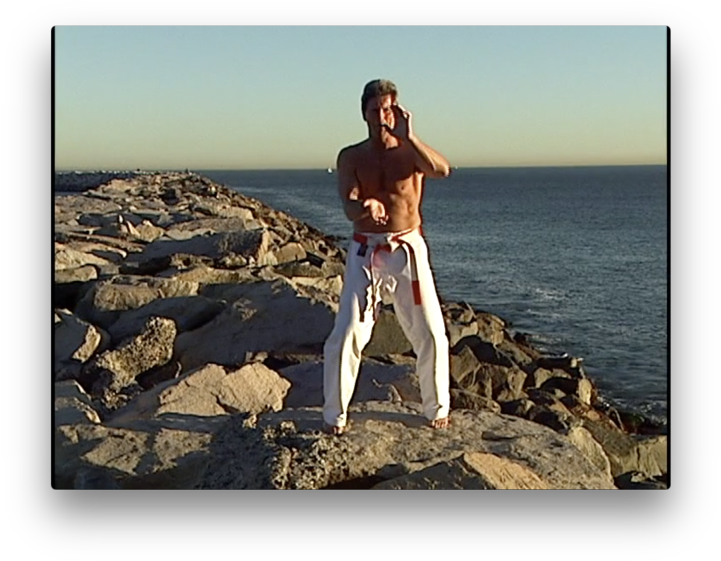 Download Complete Okinawa Isshin Ryu Karate Vol 4 By Kim Murray ...