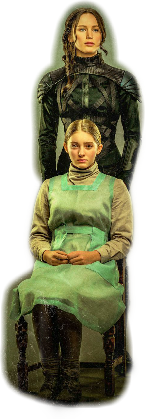 Download Hunger Games President Snow Poster - Full Size PNG Image - PNGkit