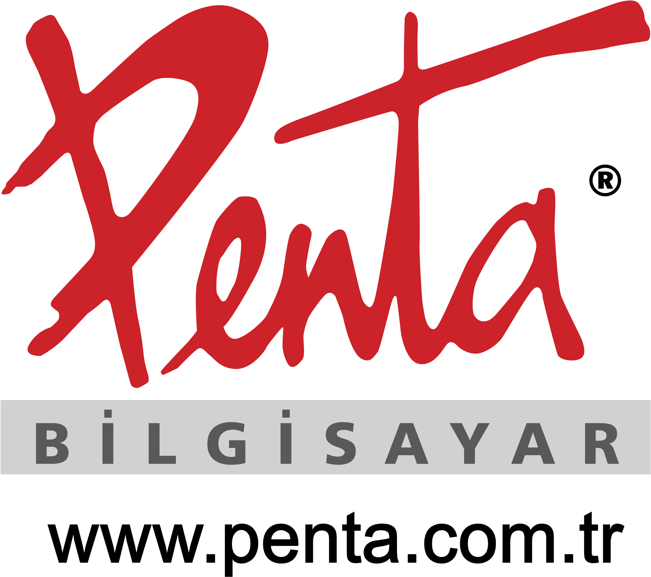 Download Penta Bilgisayar Logo Png Transparent - Penta - Full Size PNG ...