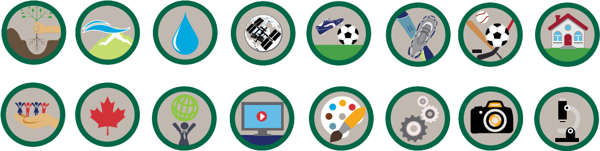 Download Every Time A Scout Would Like To Work Towards A Personal ...